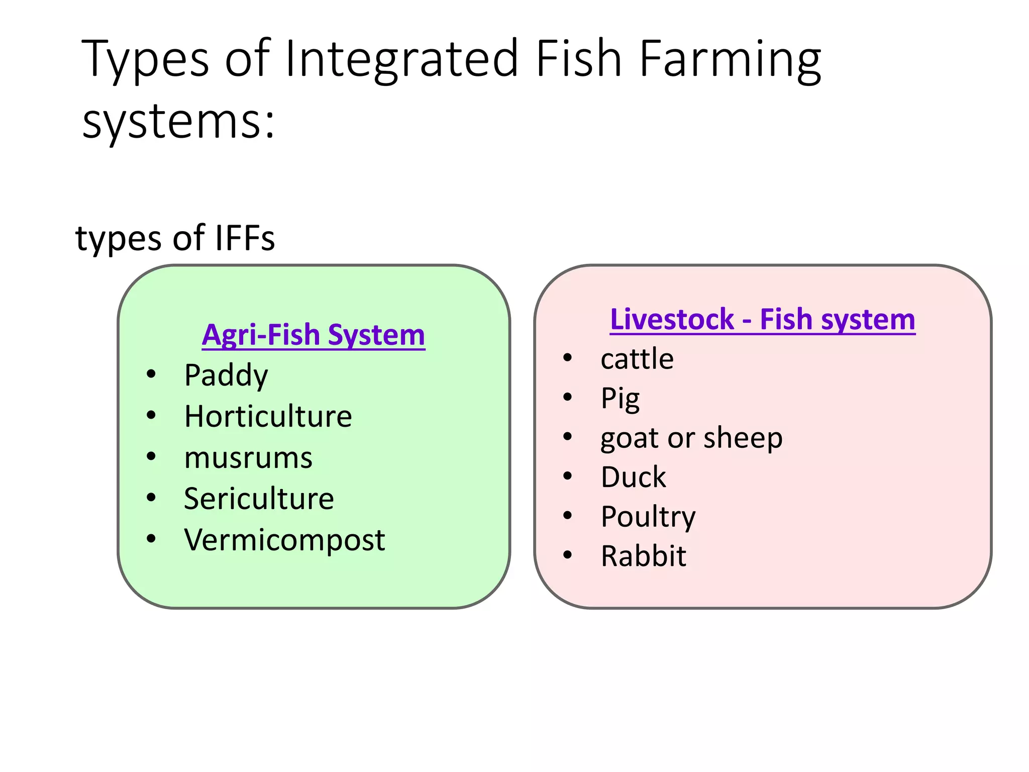 Duck cum fish farming .ppt presentation | PPTX