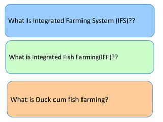 Duck cum fish farming .ppt presentation | PPTX