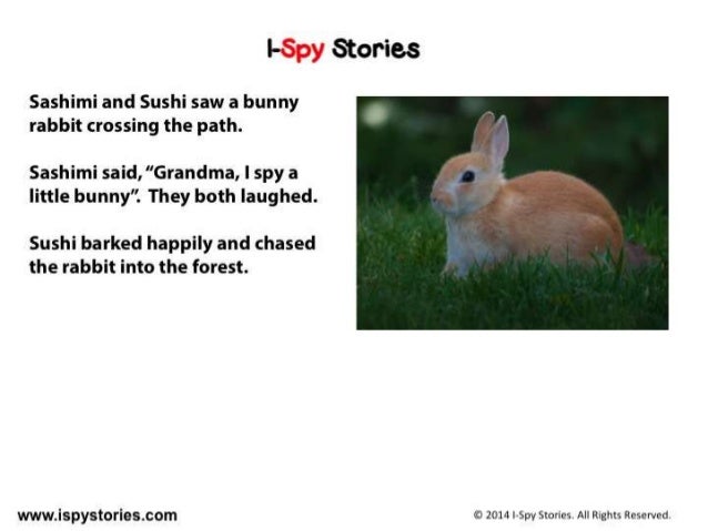 Spy duck goose goose duck - atompoliz