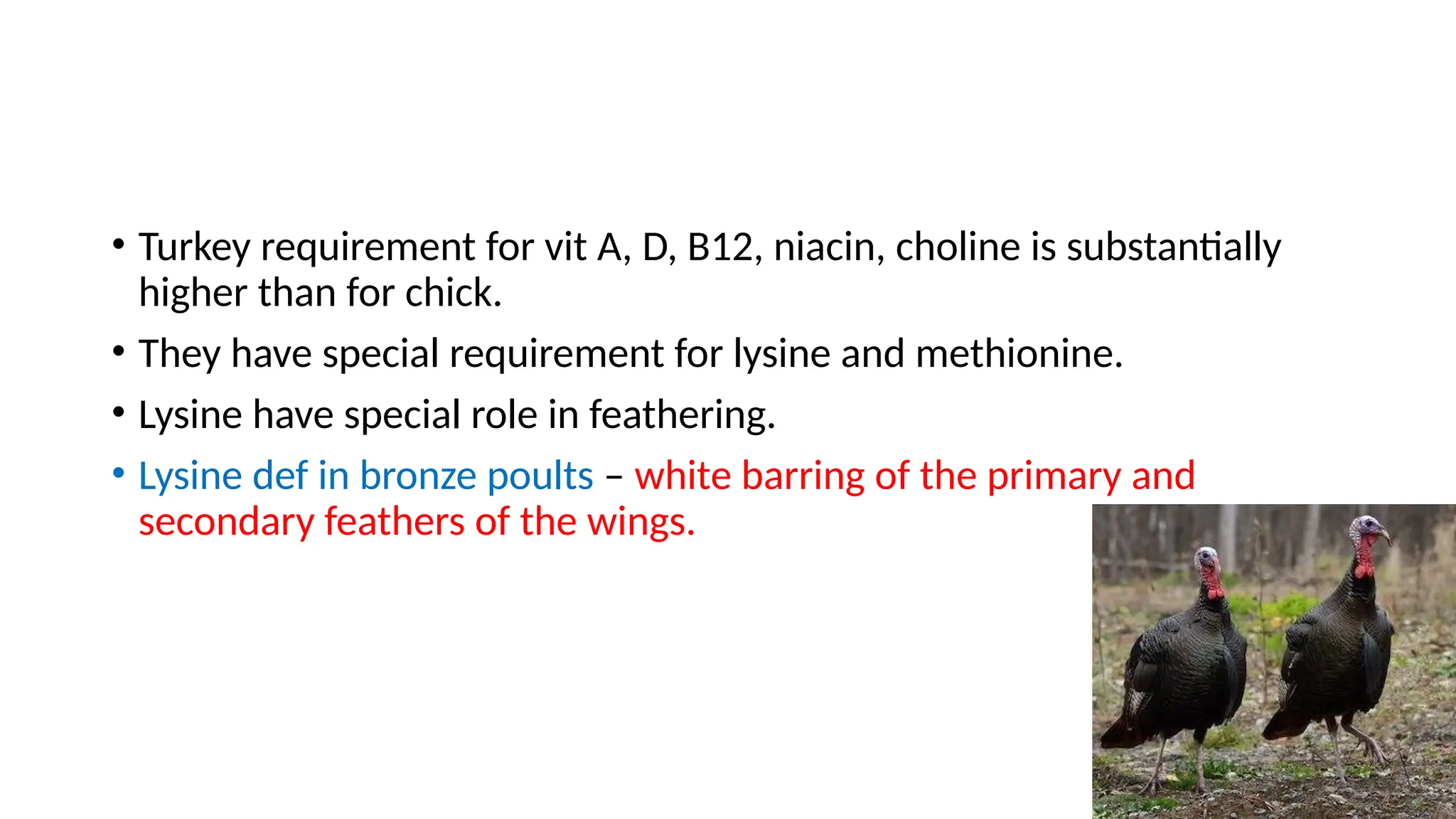 Duck, Japanese Quail and Turkey nutrition | PPTX | Agriculture | Industries