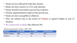Duck, Japanese Quail and Turkey nutrition | PPTX