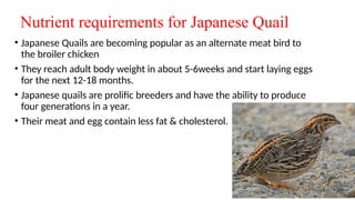 Duck, Japanese Quail and Turkey nutrition | PPTX