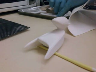 Duck Presentation 01 | PPT