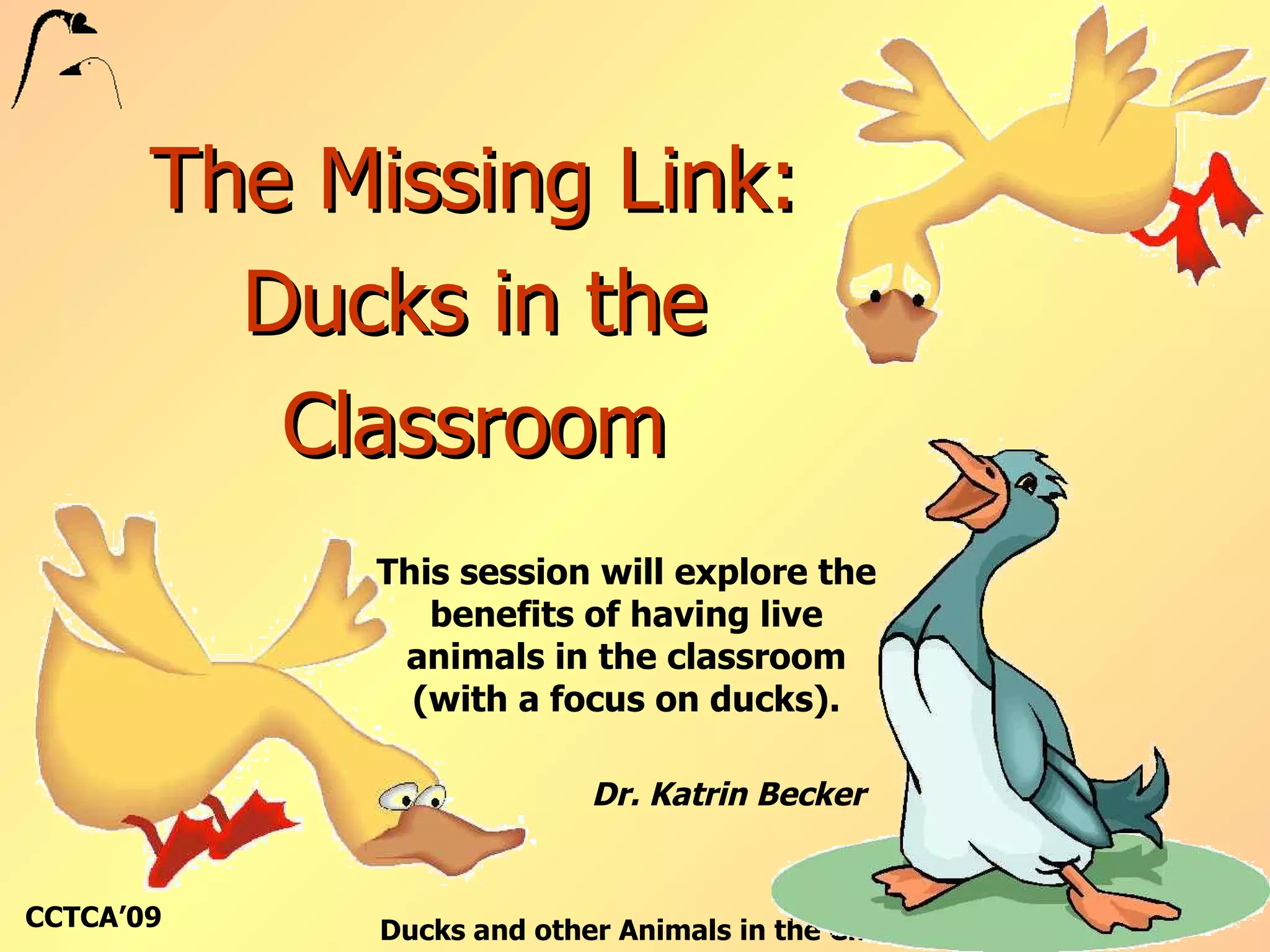 Duck Hatching in the Classroom | PPT