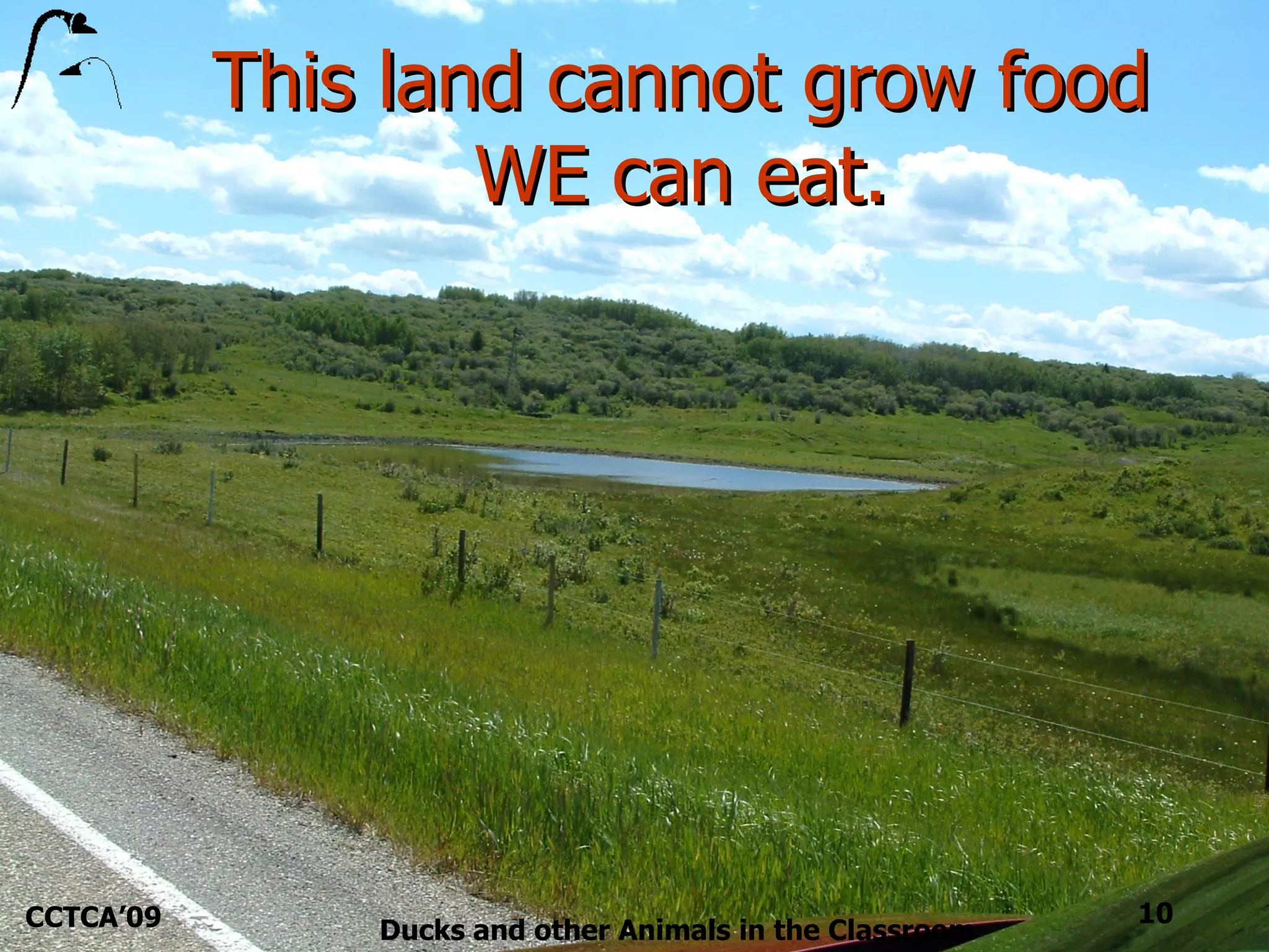 Duck Hatching in the Classroom | PPT