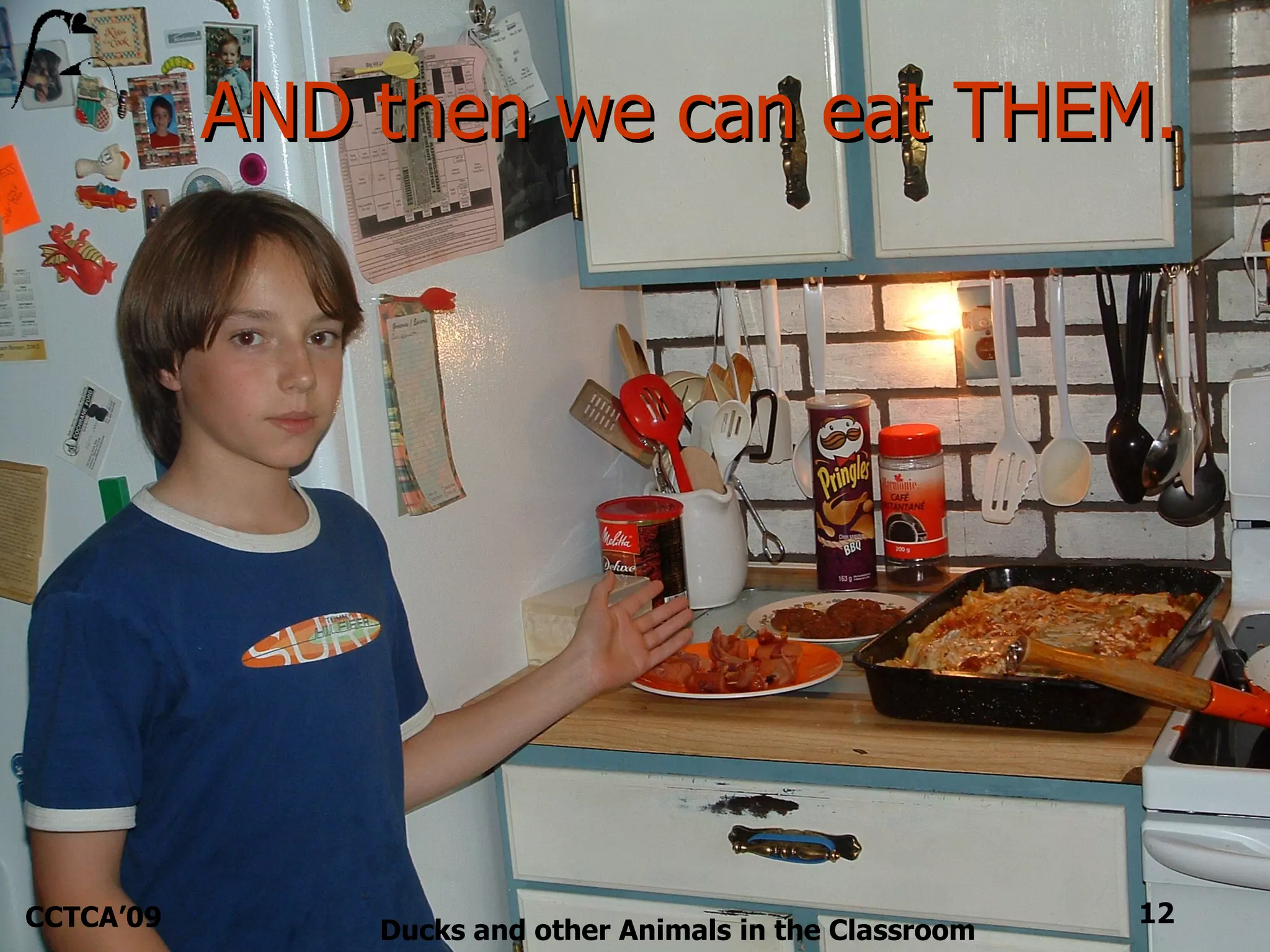 Duck Hatching in the Classroom | PPT