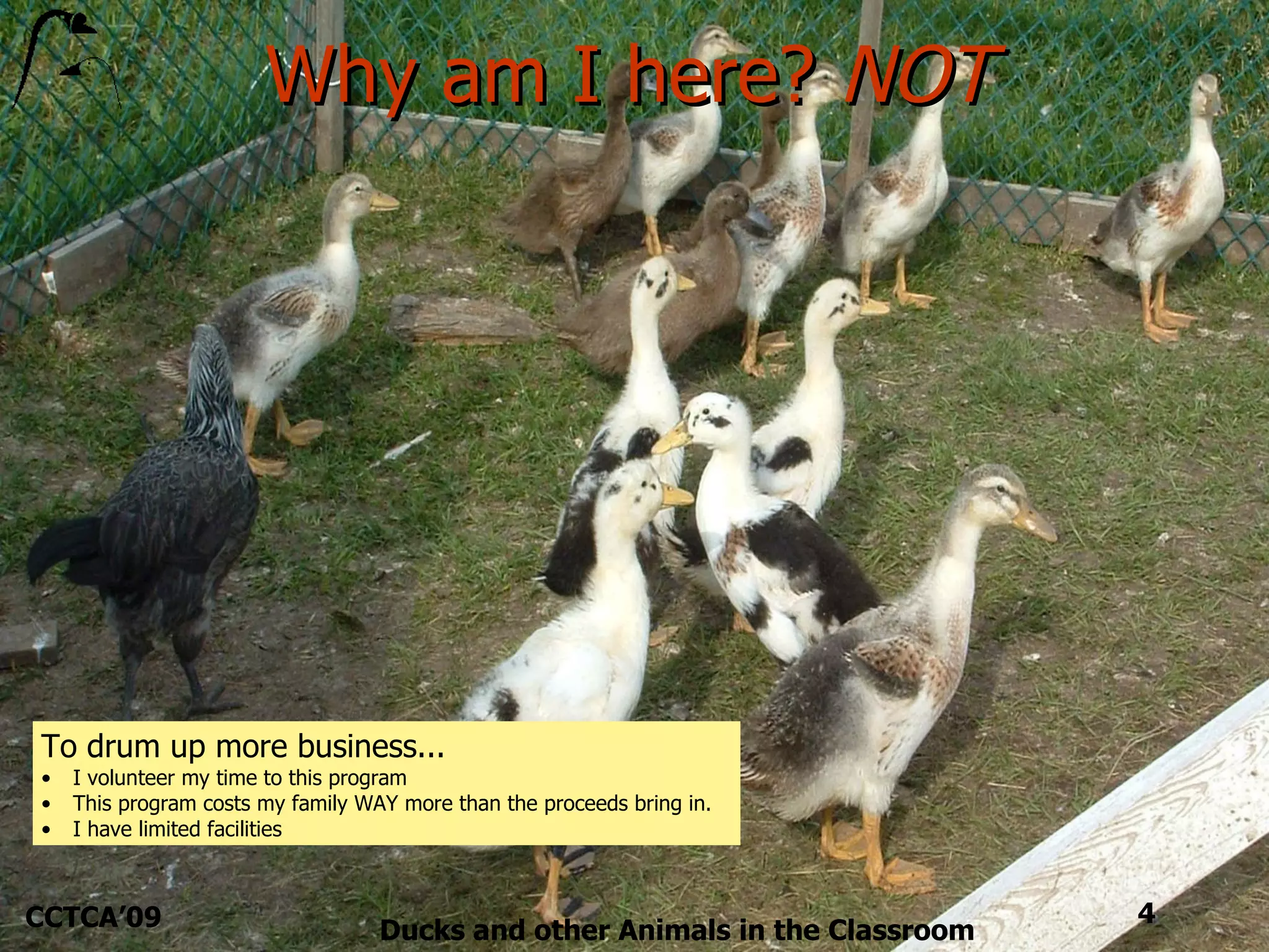 Duck Hatching in the Classroom | PPT