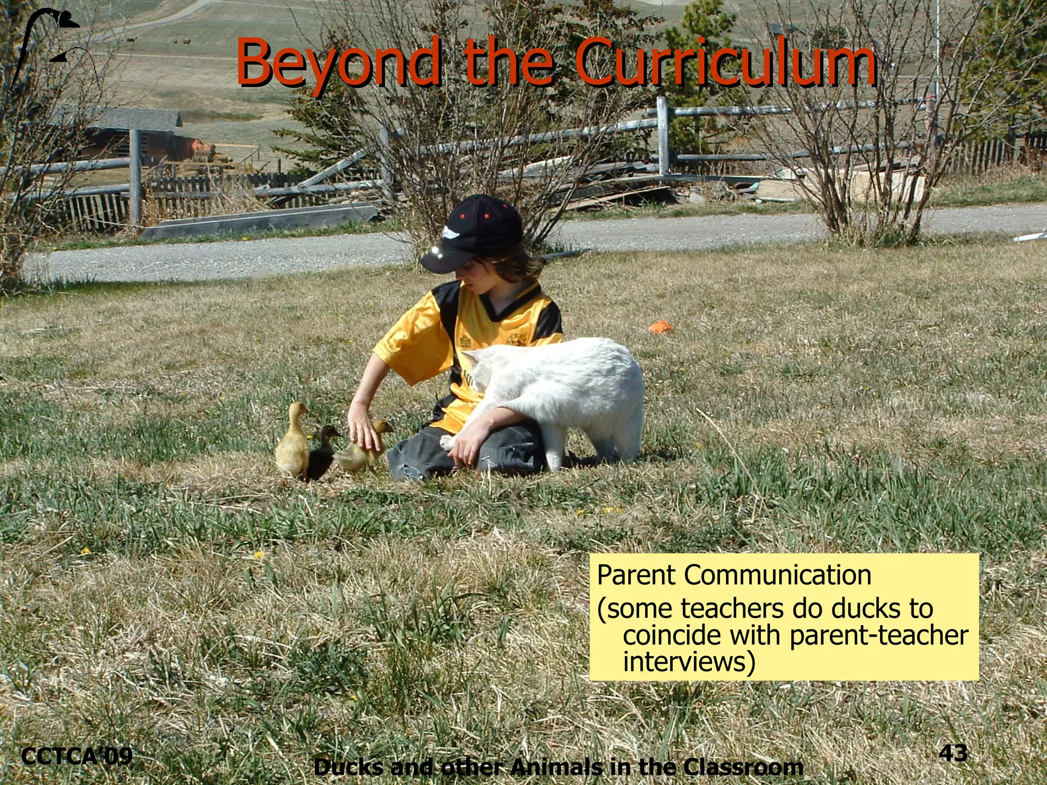Duck Hatching in the Classroom | PPT