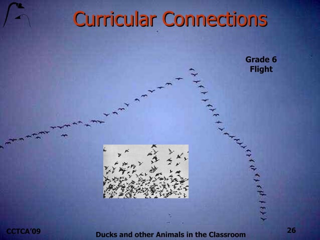 Duck Hatching in the Classroom | PPT