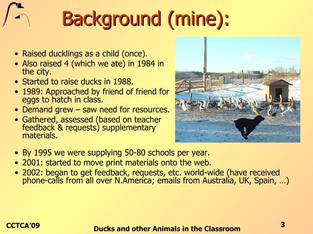 Duck Hatching in the Classroom | PPT