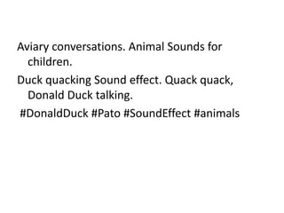 Duck sound, Animal Sounds for kids - El Sonido del Pato para niños | PPTX