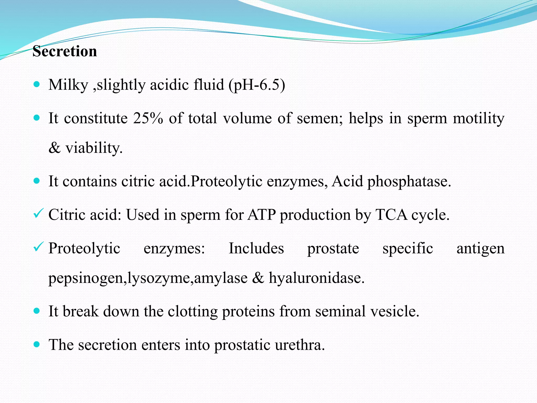 Ducts & glands of male reproductive system PART 2 | PPTX