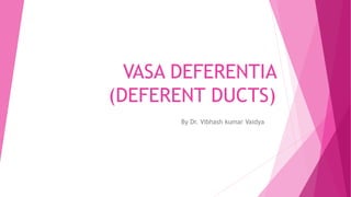 Ductus deference | PPTX