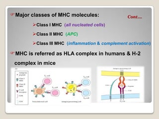 Impact of MHC class I diversity on immune control of Immuno-deficiency ...
