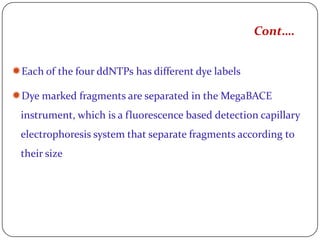 Comparison of three High-throughput sequencing techniques | PPT