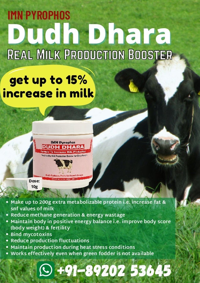 Dudh dhara - Real Milk Production Booster | PDF