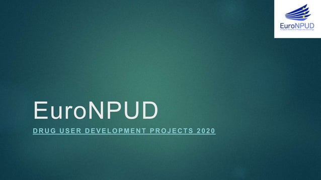 Drug User Development Project | PPT
