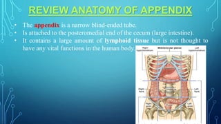Seminar presentation on Appendicitis.pptx