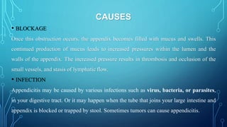 Seminar presentation on Appendicitis.pptx