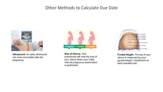 Due Date Calculator | PPT