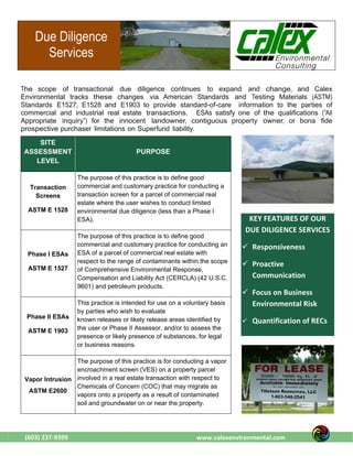 Due Diligence Calex | PDF