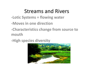Aquatic Biomes | PPT