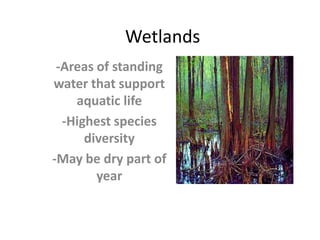 Aquatic Biomes | PPT