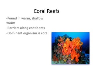 Aquatic Biomes | PPT