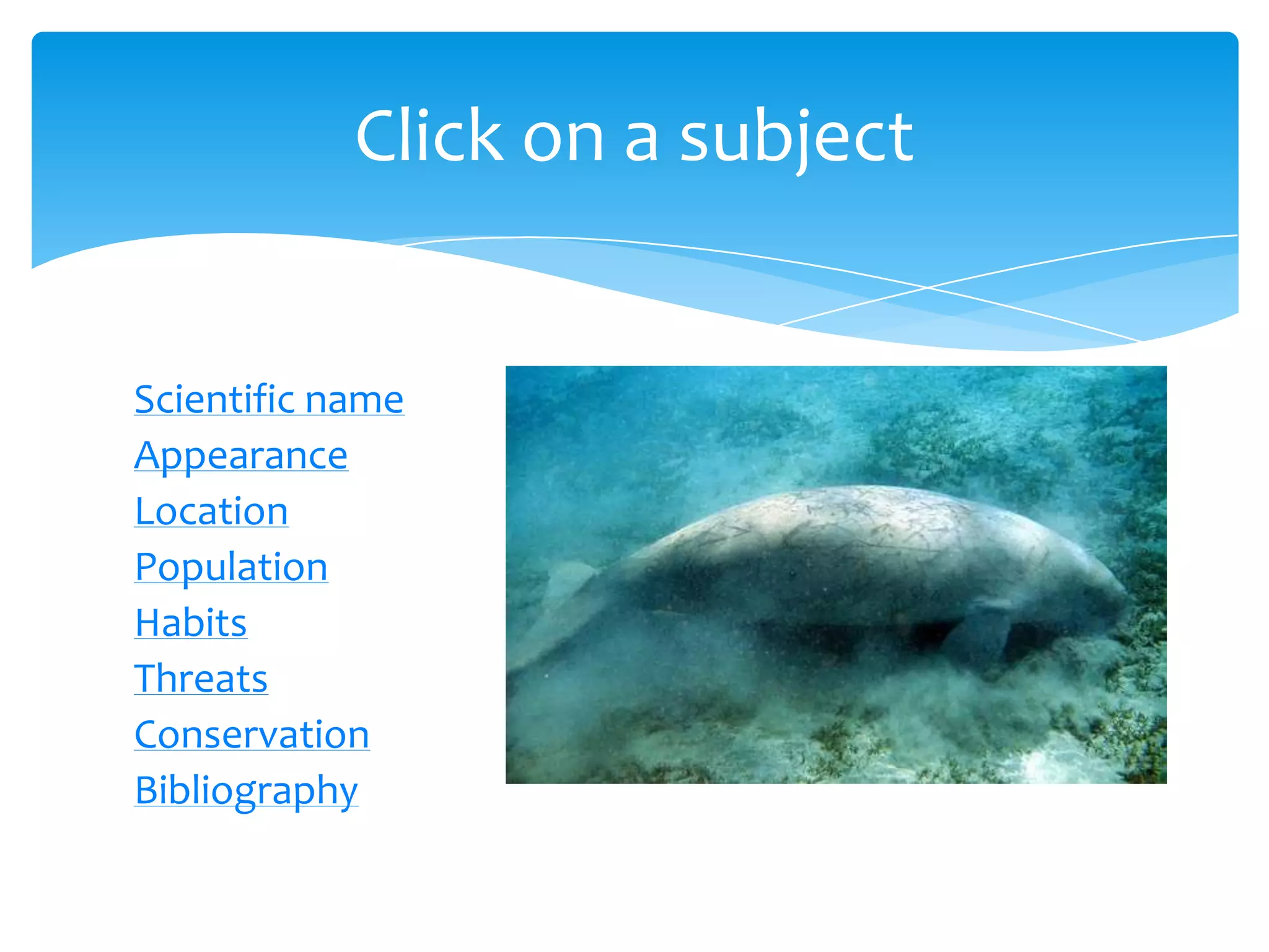Dugong | PPTX