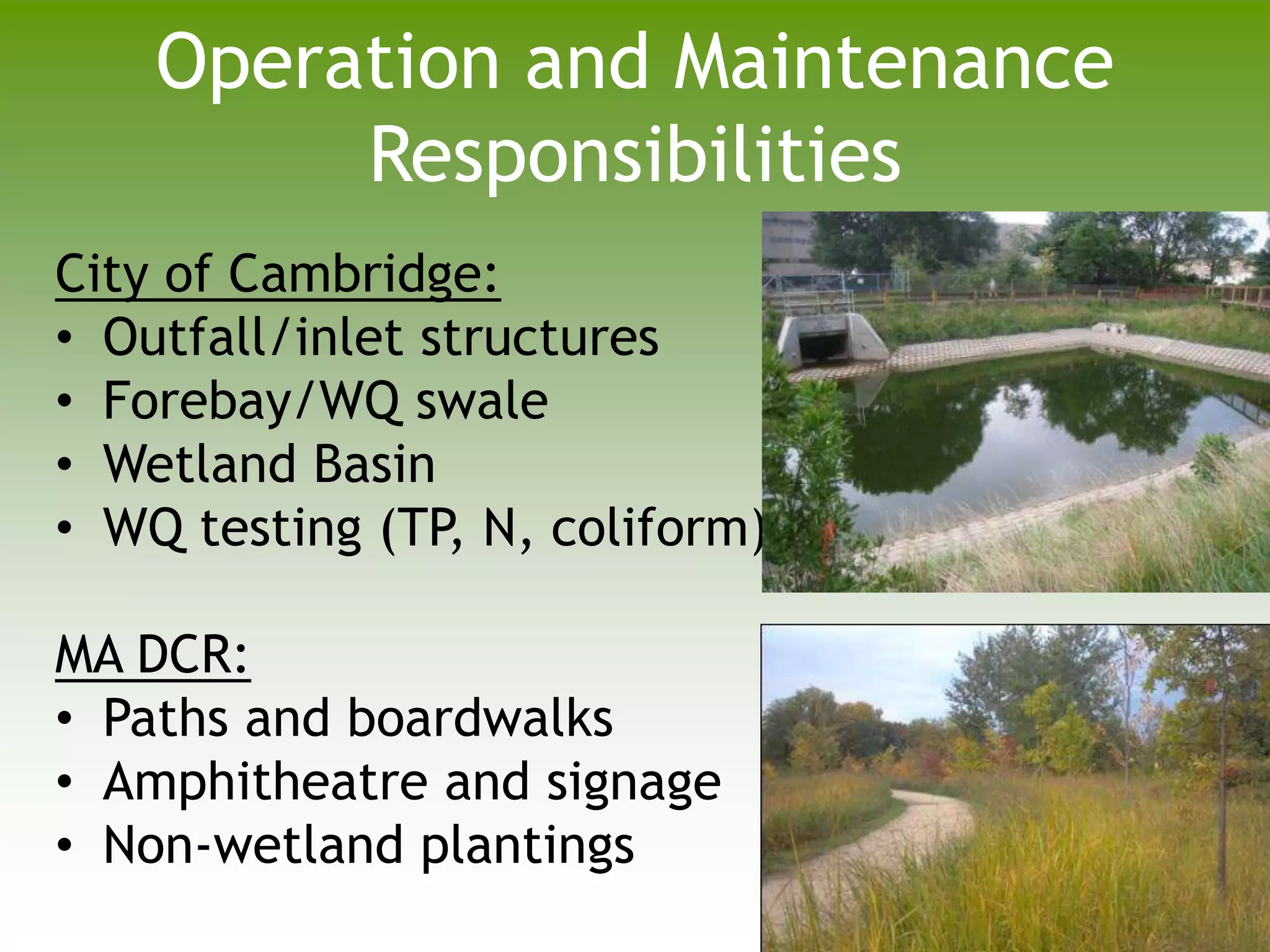 Duke Bitsko - Alewife Stormwater Wetland | PPTX