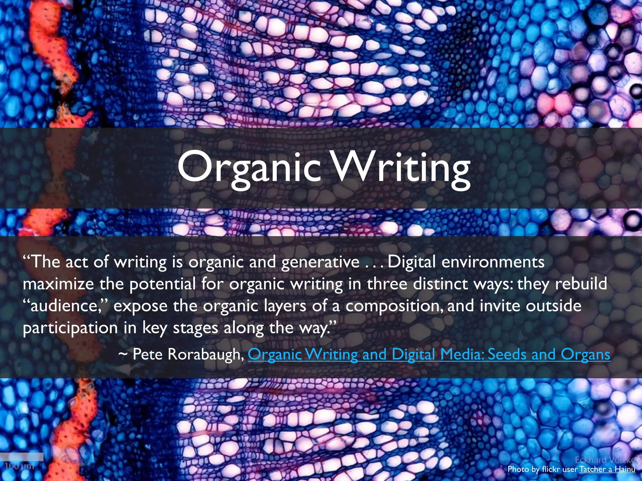 Critical Pedagogy, Organic Writing, and the Changing Nature of ...