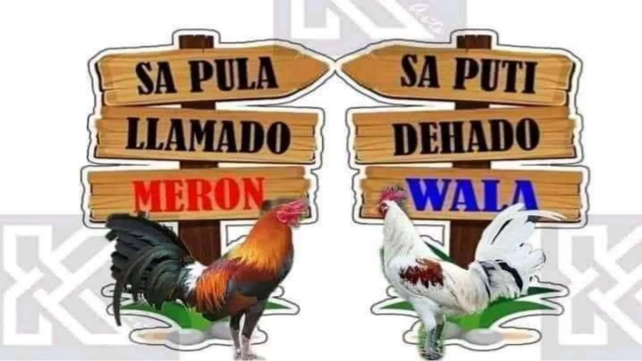 DULA- SA PULA SA PUTI NI SOC RODRIGO.pptx