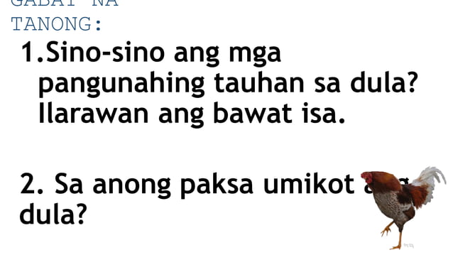 DULA- SA PULA SA PUTI NI SOC RODRIGO.pptx