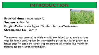 horse gram, field pea & rajmah (introduction).pptx