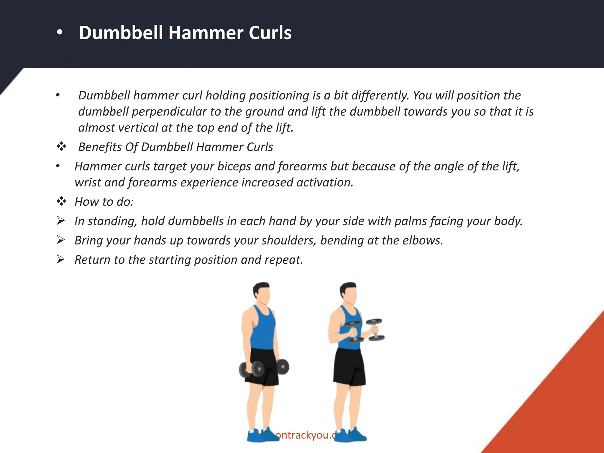 List Of Dumbbells Exercises And Benefits of Dumbbells .pptx