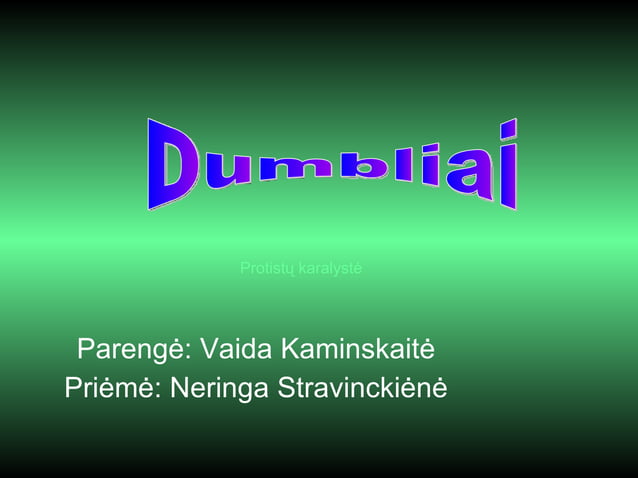 Dumbliai | PPT
