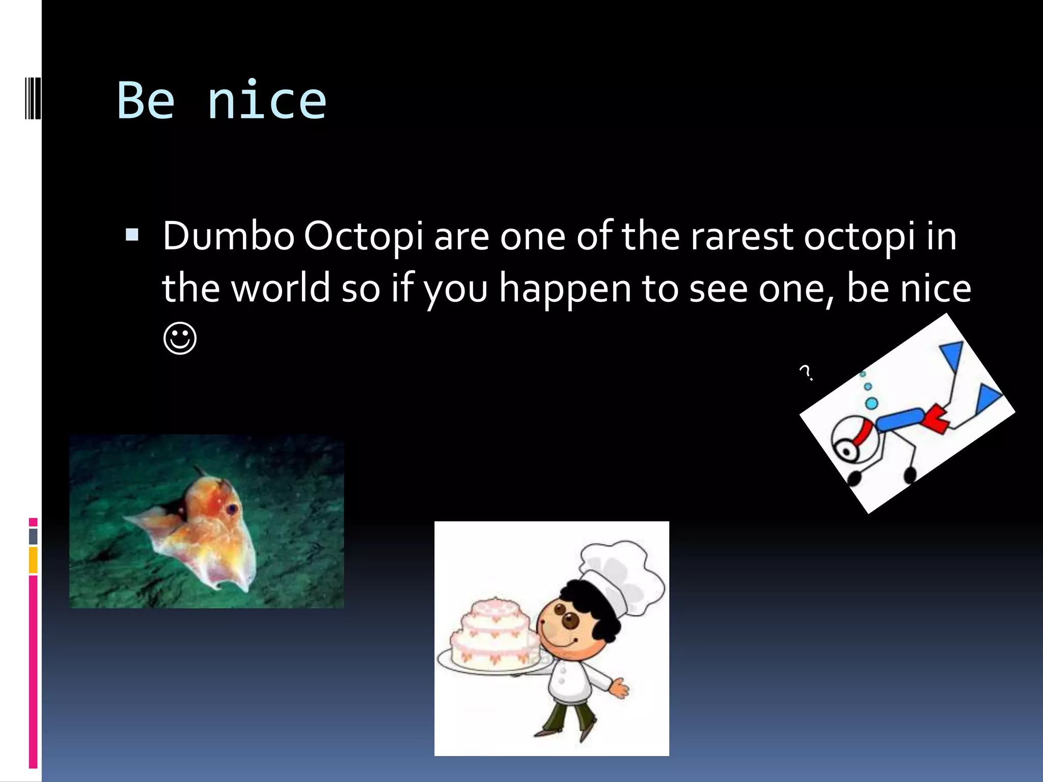 Dumbo octopus | PPTX