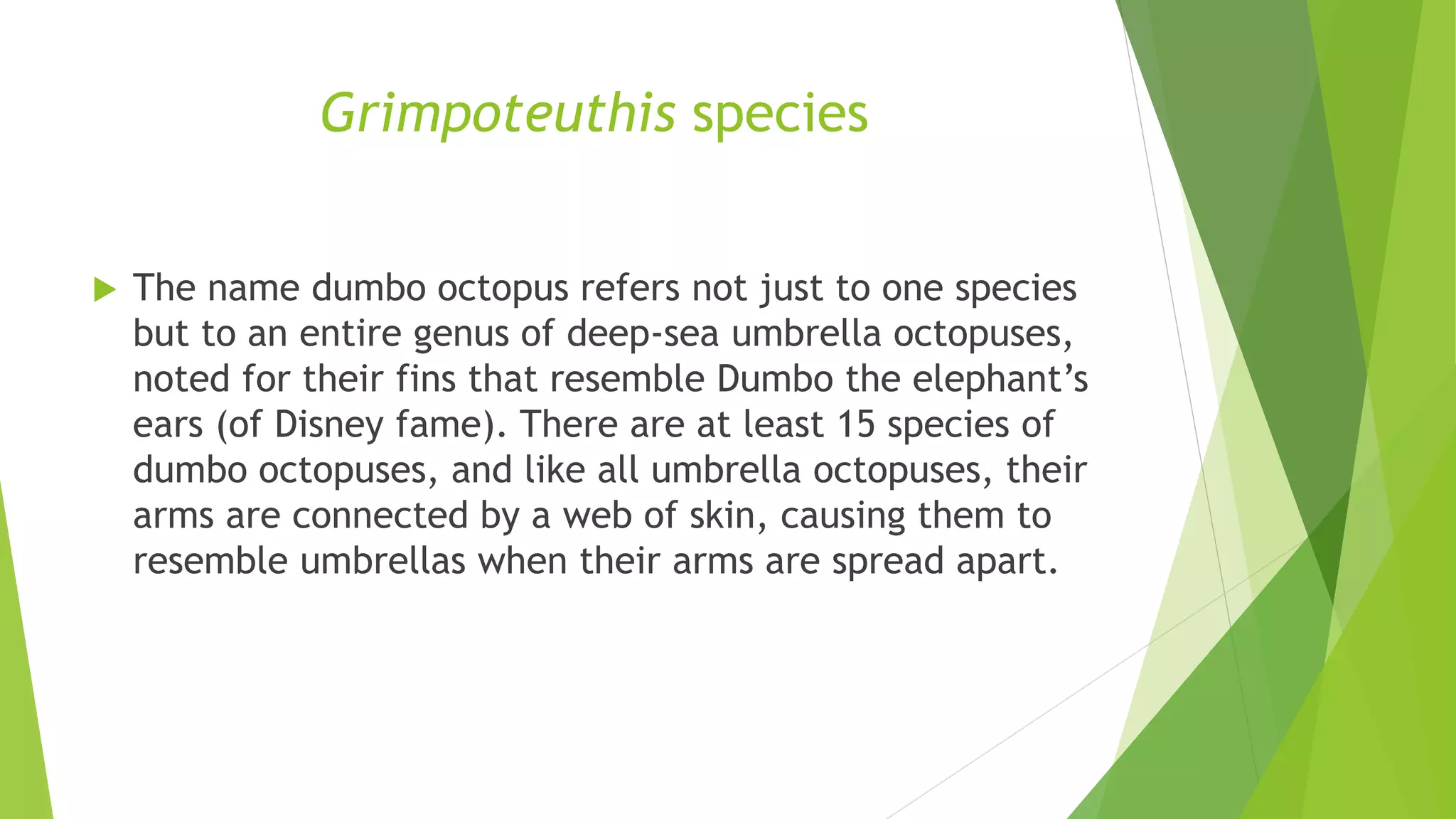 Biology 1.2 - Dumbo Octopus | PPT