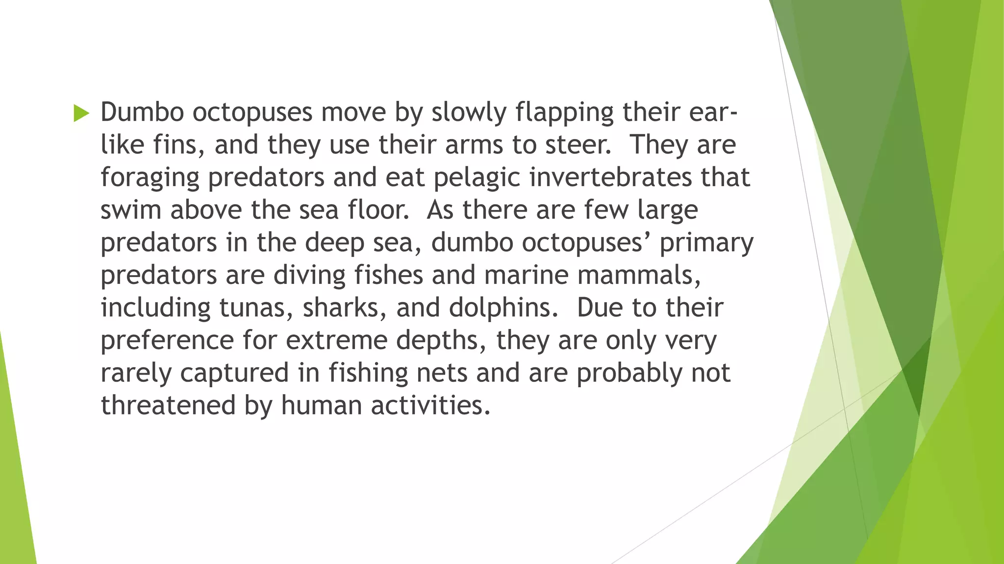 Biology 1.2 - Dumbo Octopus | PPT