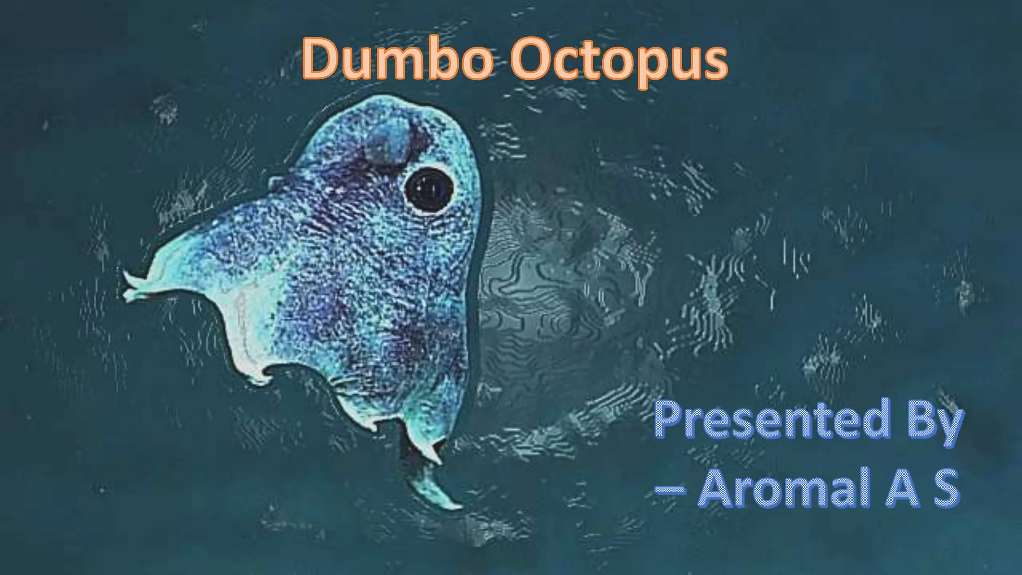 Dumbo octopus.pptx