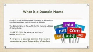 Dummies guide-to-domain-names | PPSX