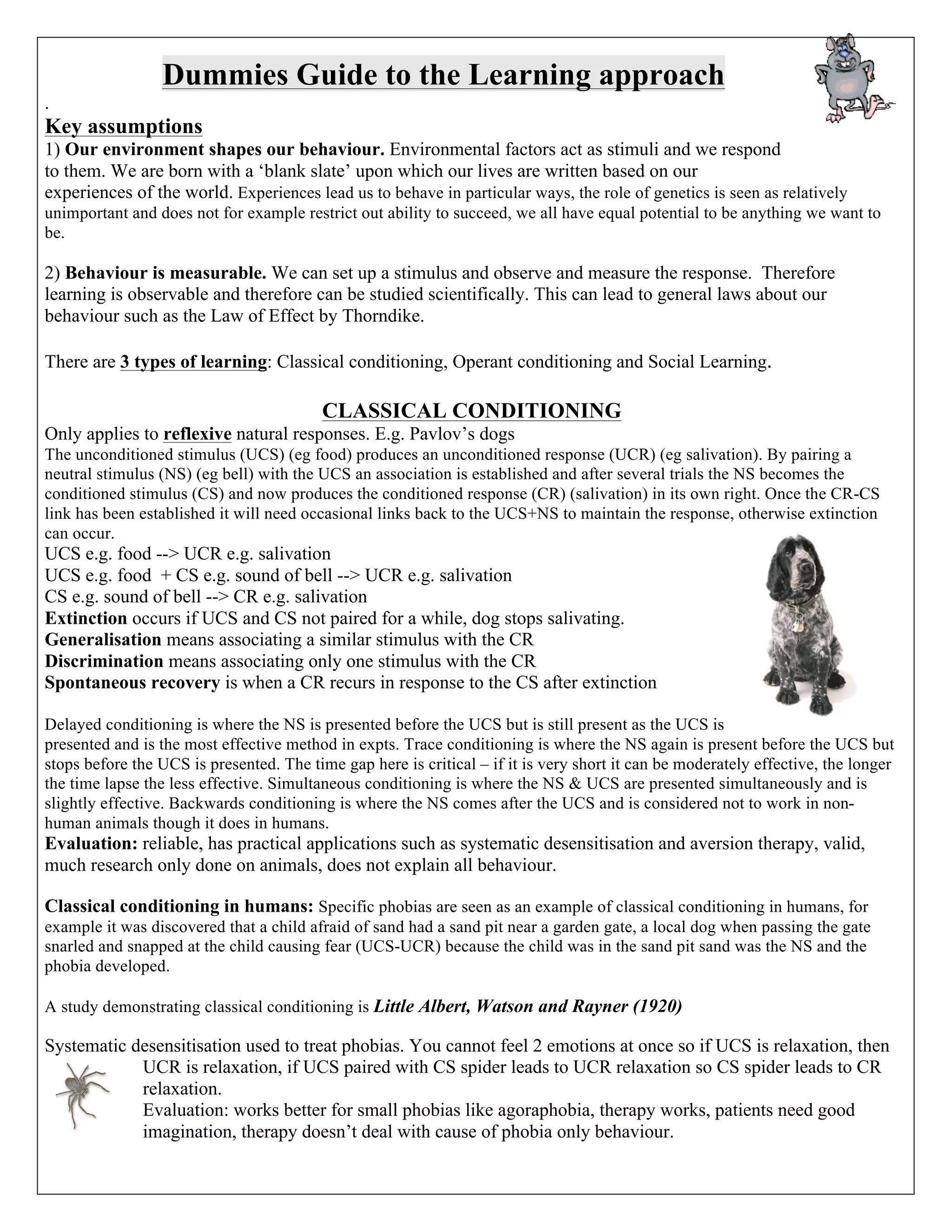 Dummies guidelearning | PDF