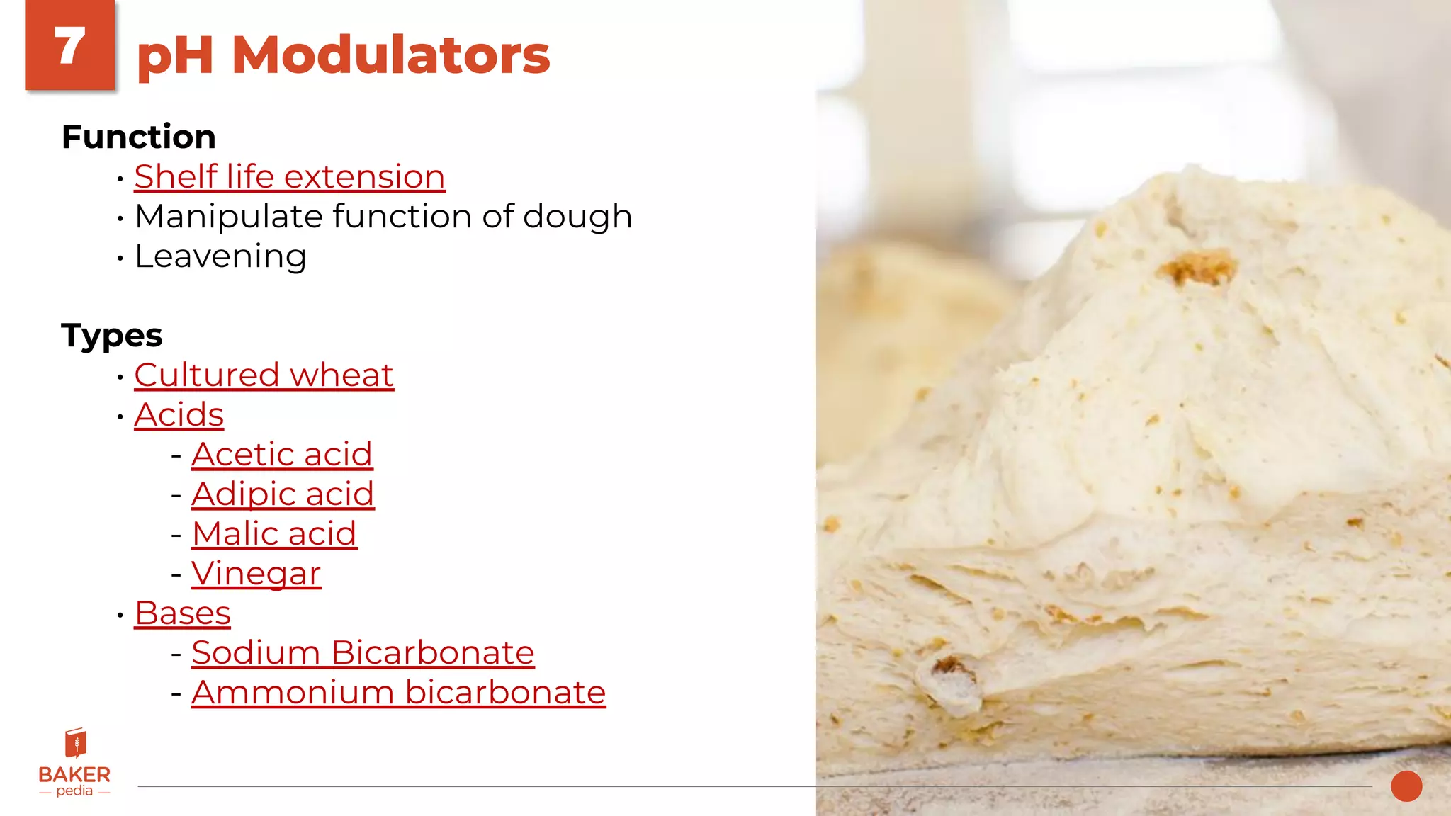 Dummies Guide to Baking Ingredients | PDF