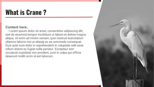 Random-Slides-Template.pptx