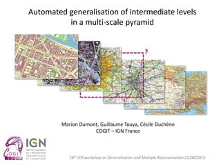 Automated generalisation of intermediate levels in a multi-scale pyramid | PDF | Technology ...