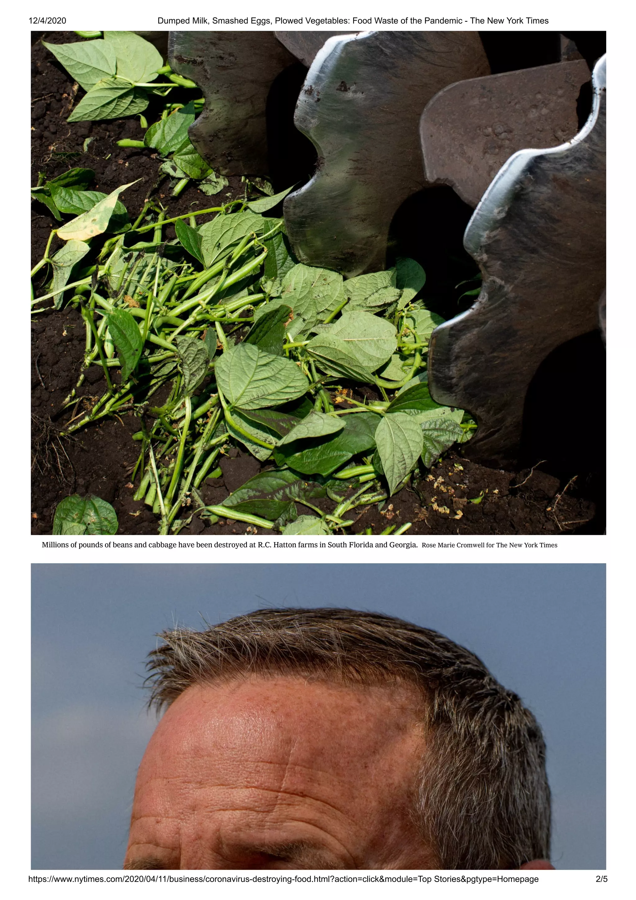 Dumped milk, smashed eggs, plowed vegetables food waste of the pandemic ...