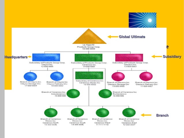 DNBi Company Monitoring | PPT