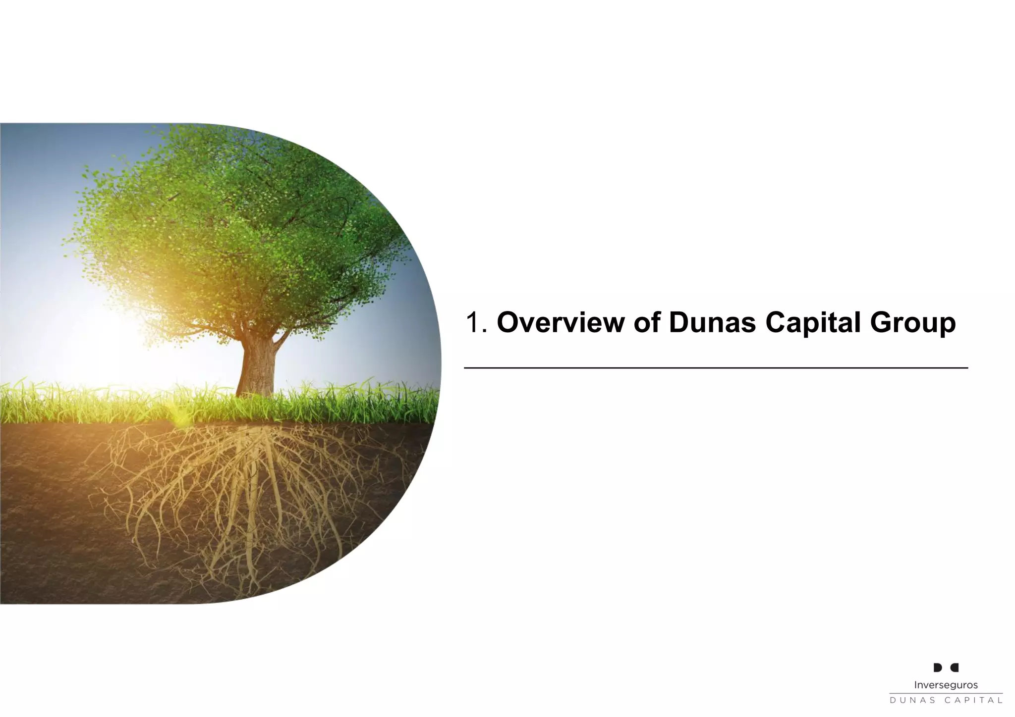 Dunas Capital Group Overview | PDF | Financial Industry | Industries
