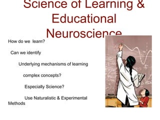 Educating the Scientific Brain and Mind: Insights from The Science of ...