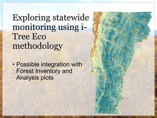 Peeking Beneath the Canopy: Insights from using i-Tree Eco to monitor ...